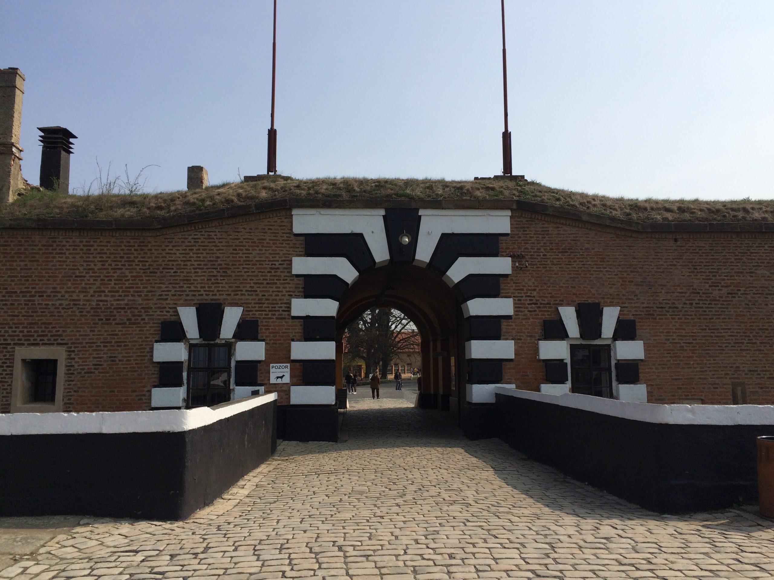 Concentration Camps: Insights Into Vulnerability - Cupcakes and Campfires